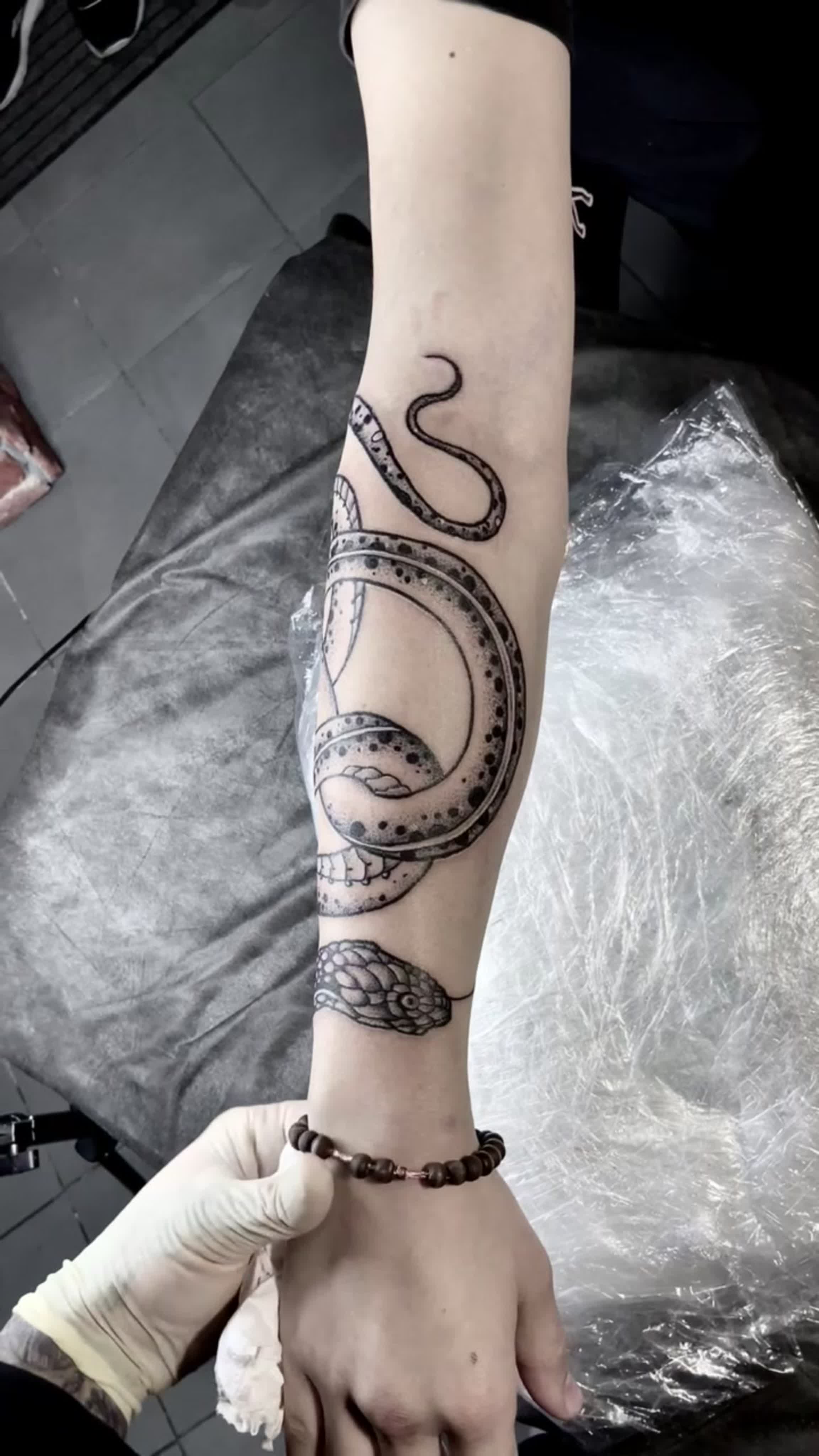 Snake tattoo — Видео от К13 Тату & Пирсинг Вологда | ВКонтакте